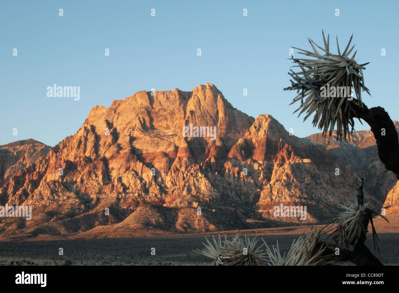 Mount wilson conservation area hi-res stock photography and images - Alamy