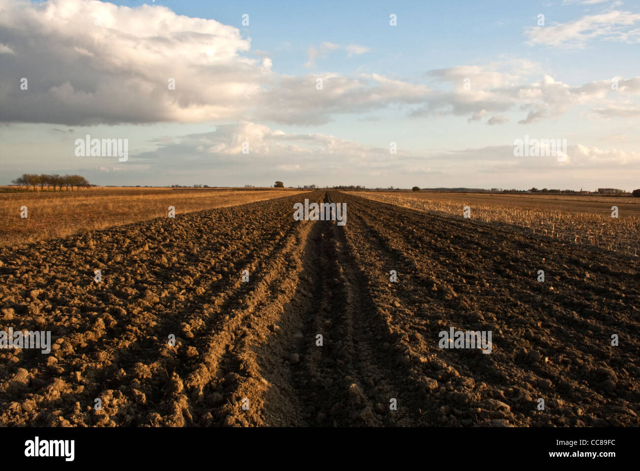 Plow under field hi-res stock photography and images - Alamy