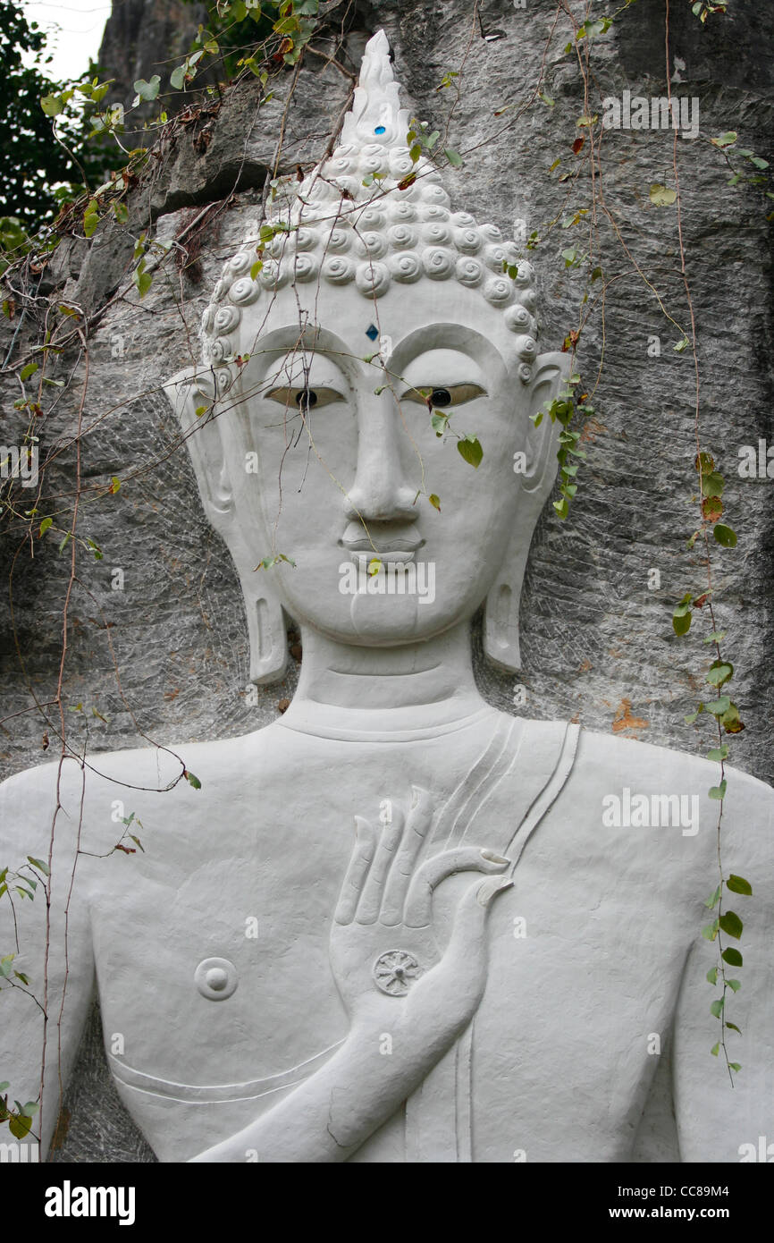 Tu rock hi-res stock photography and images - Alamy