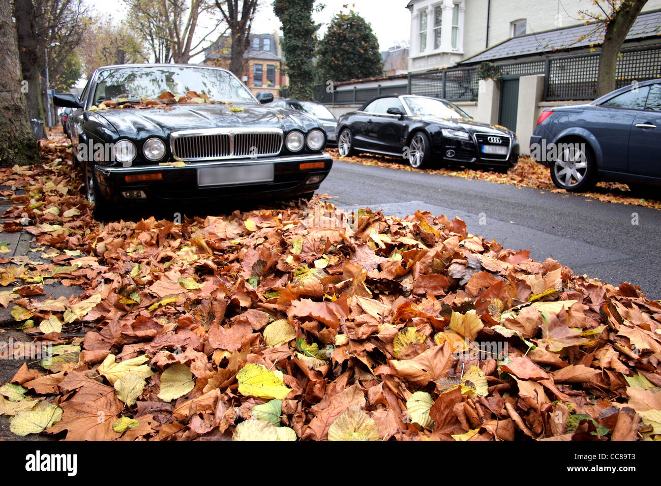 Autumn season great britain hi-res stock photography and images - Alamy
