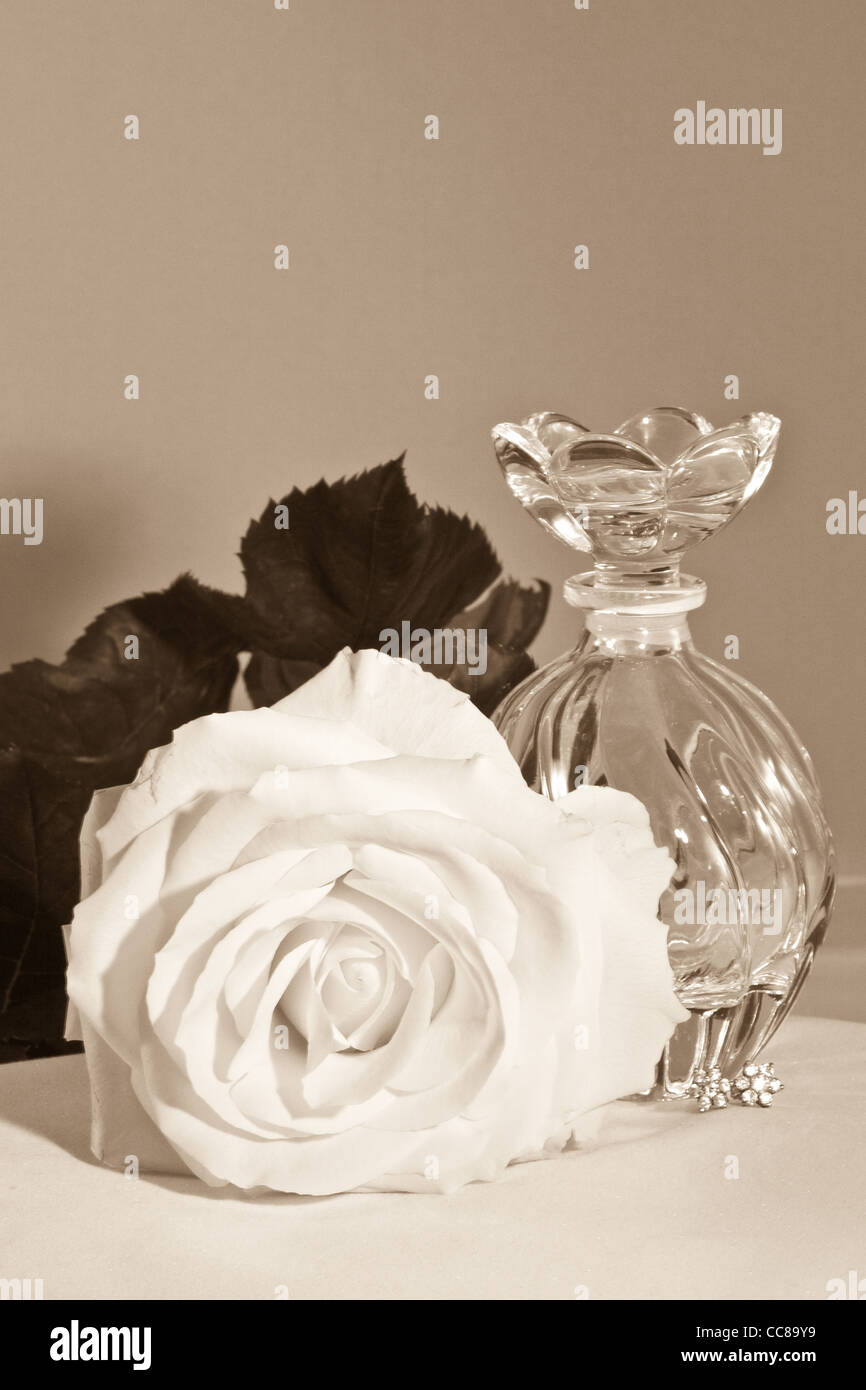 Rose, ear-drops and small bottle - sepia color vertical Stock Photo - Alamy