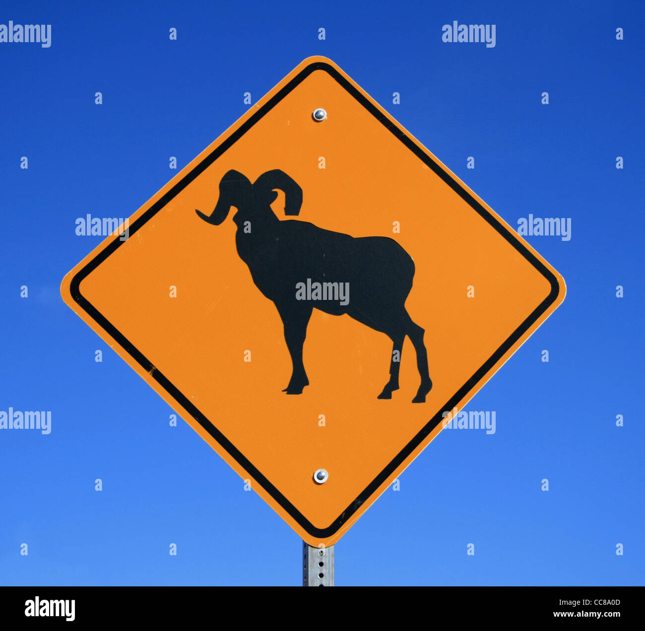Yellow black warning sign hi-res stock photography and images - Alamy