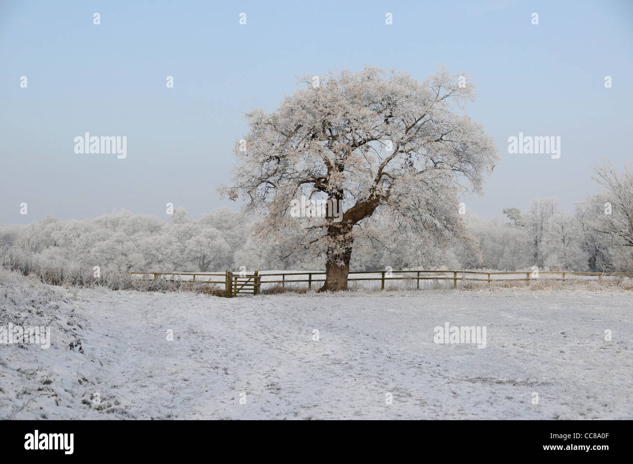 Chester frost uk hi-res stock photography and images - Alamy