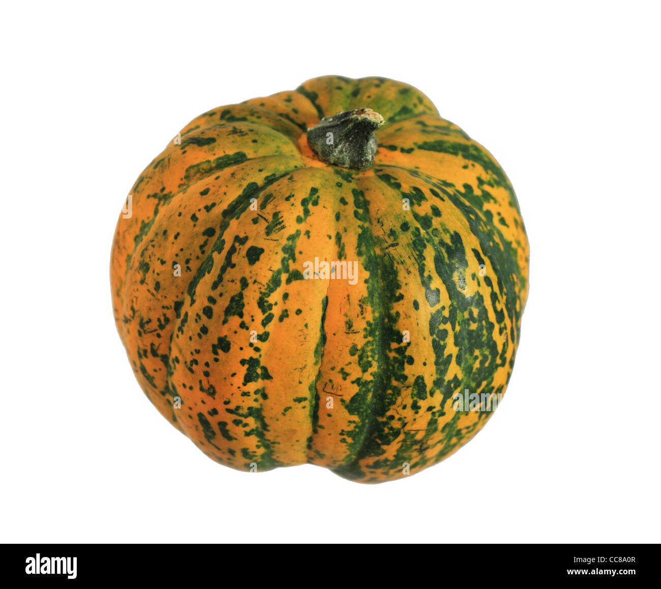 Carnival squash Cut Out Stock Images & Pictures - Alamy