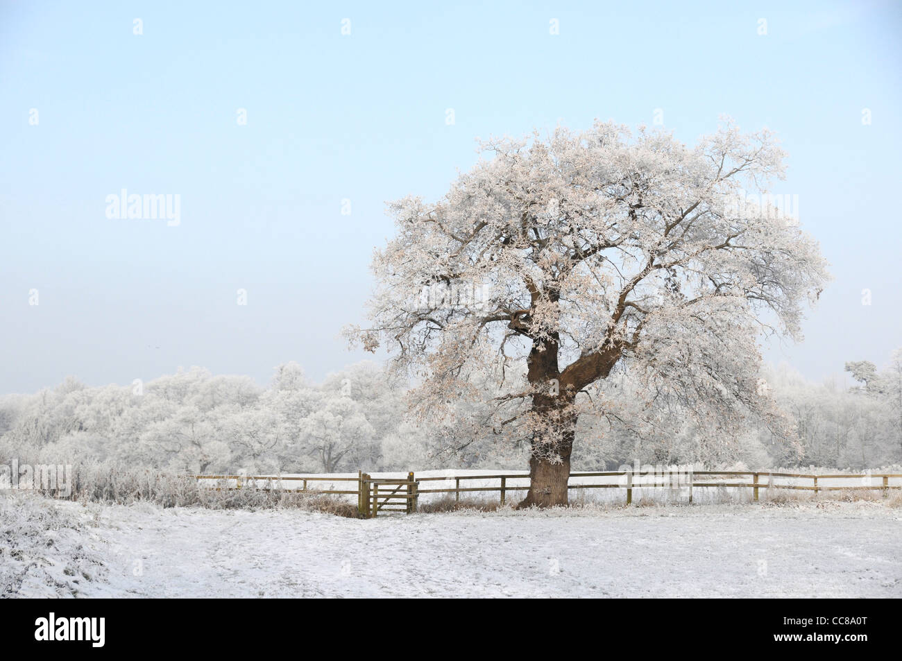 Winter scene in Chester UK Stock Photo - Alamy