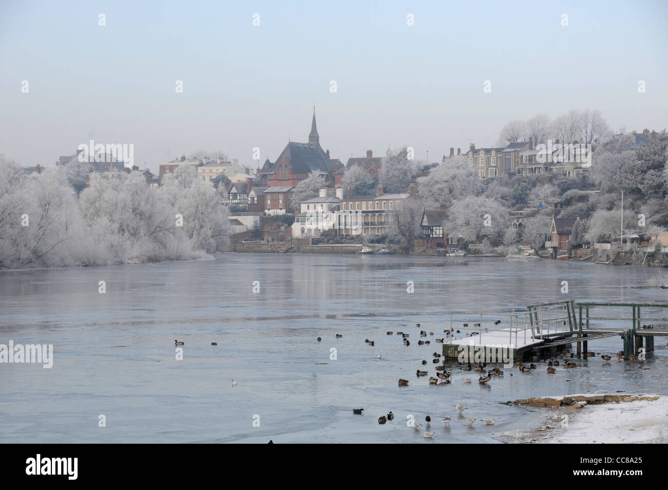Chester frost uk hi-res stock photography and images - Alamy