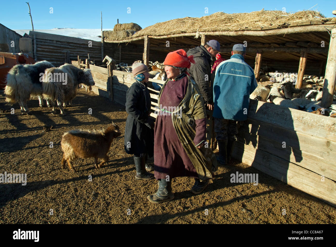 Mongolian herders in Gobi steppe Mongolia Stock Photo - Alamy