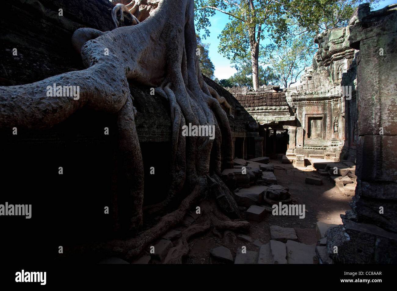 Ta Prohm, ruins and unrestored temple built in the Bayon style in ...