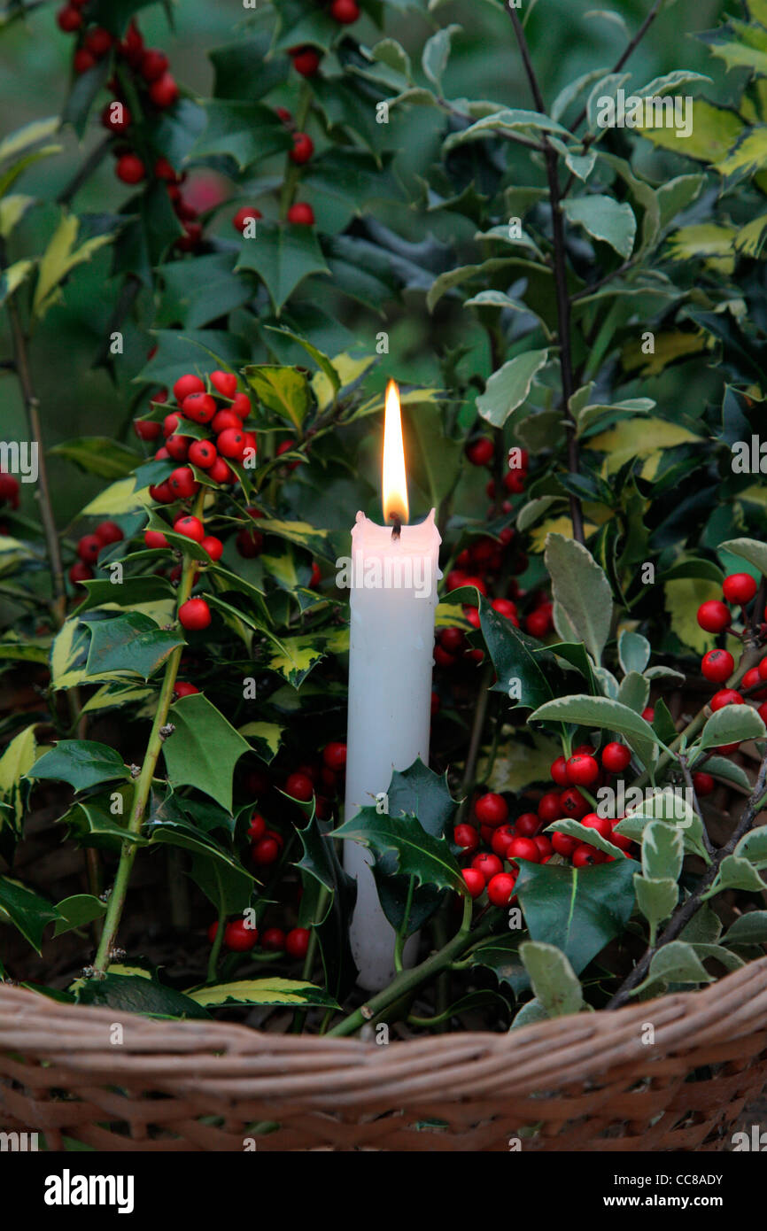 Holly christmas decoration hi-res stock photography and images - Alamy