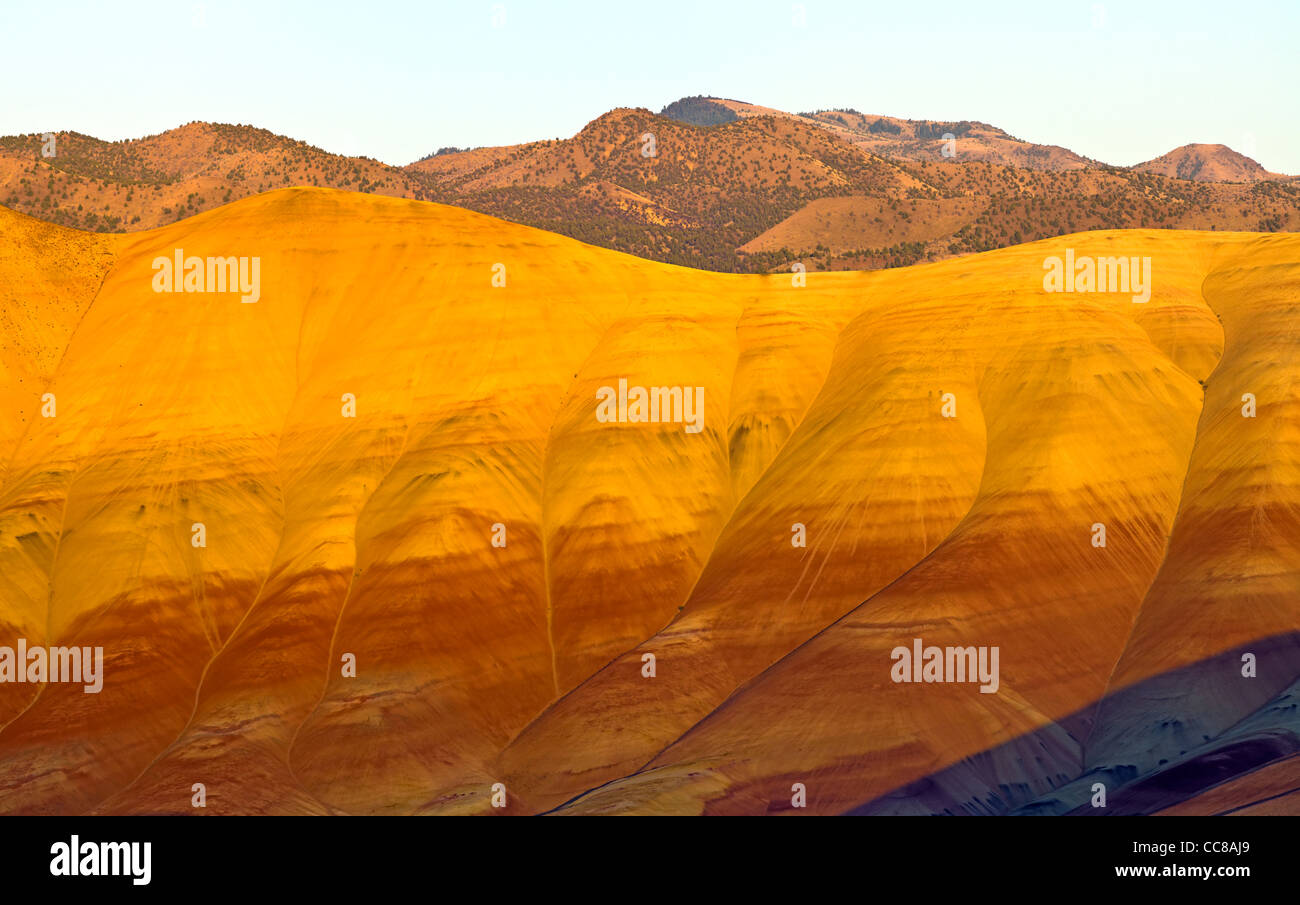 Fossils beds hi-res stock photography and images - Alamy