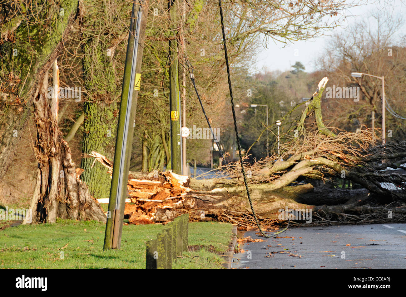 Blown Over High Resolution Stock Photography and Images - Alamy