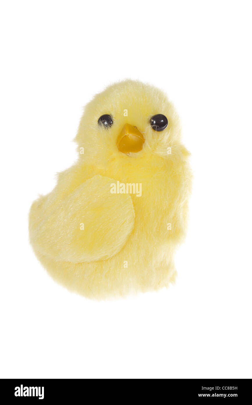 yellow chickling photo on the white background Stock Photo - Alamy