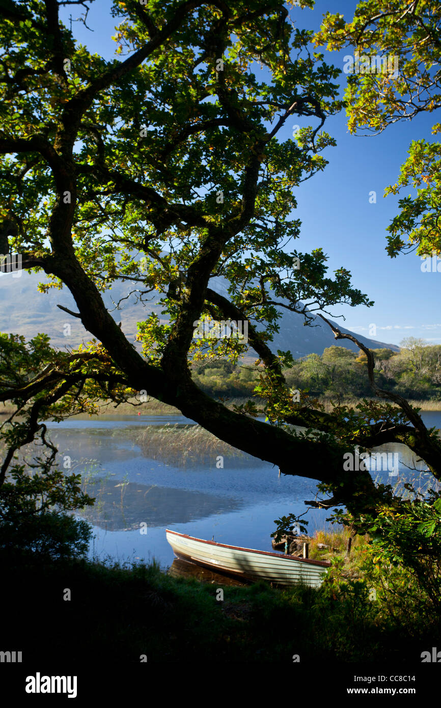 Fishing boat on the shore of Lough Maladrolaun, beside Kylemore House ...