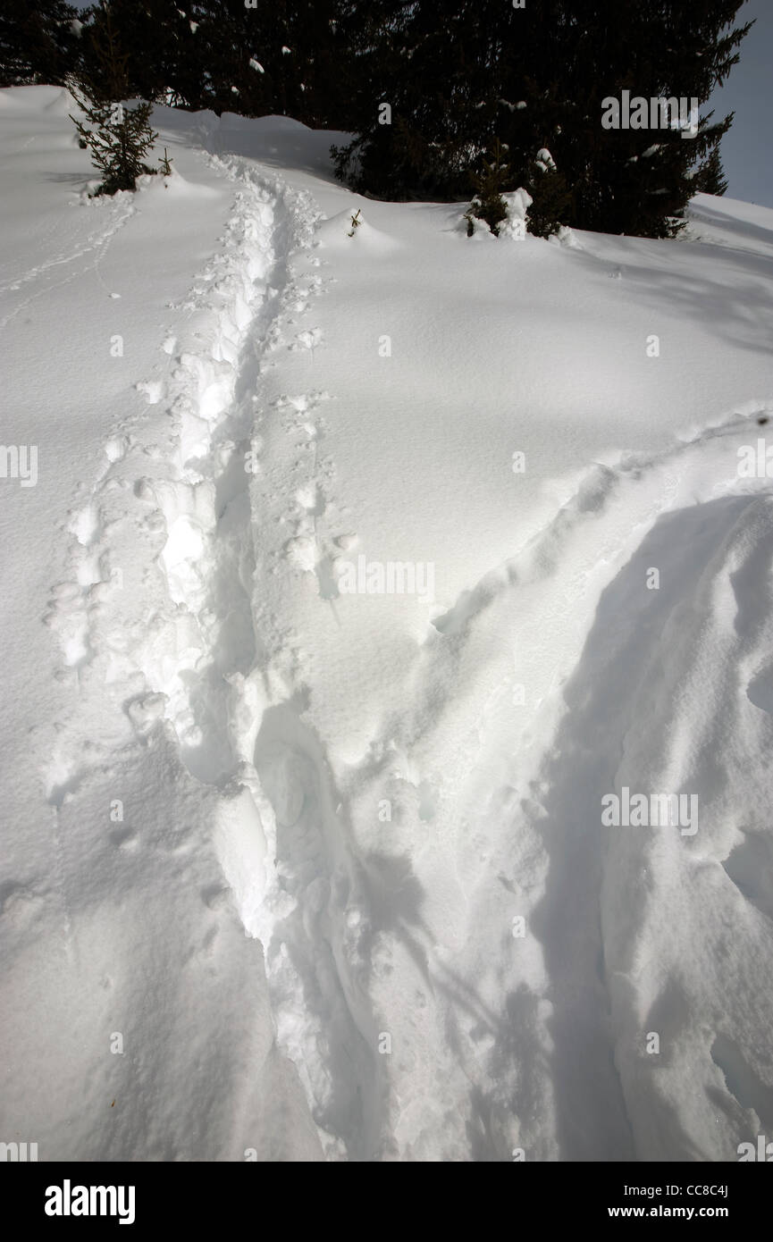 Snow pathway hi-res stock photography and images - Alamy