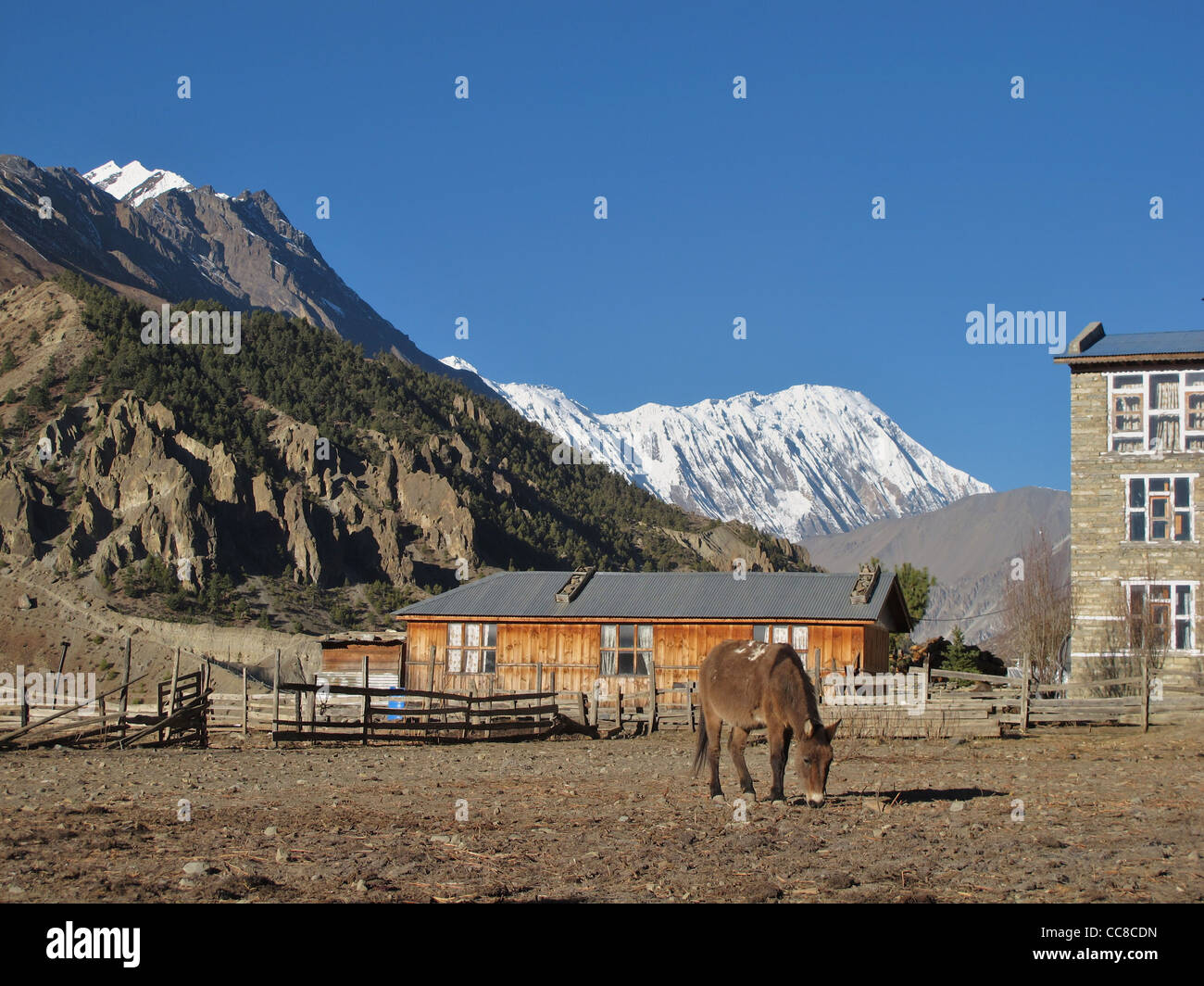 Manang view hi-res stock photography and images - Alamy