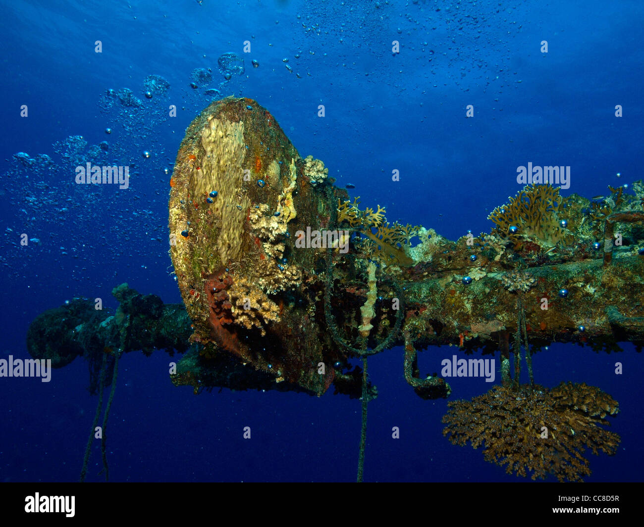 wreck in the red sea Stock Photo - Alamy