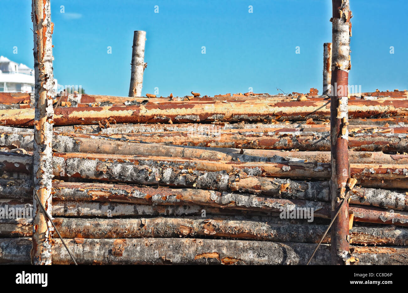 Birch logs hi-res stock photography and images - Alamy