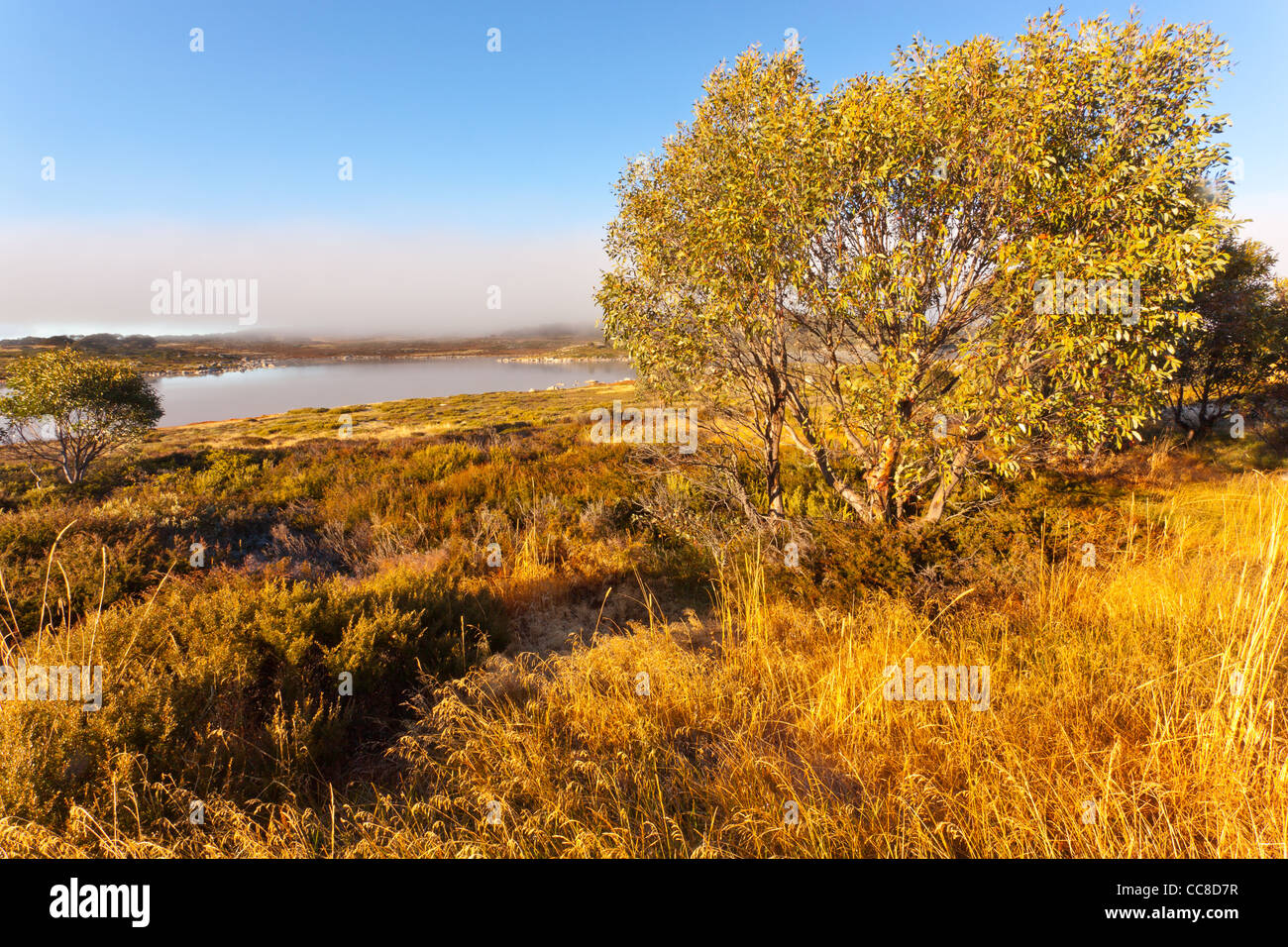 Early morning at Rocky Valley Reservoir near Falls Creek on the Bogong ...