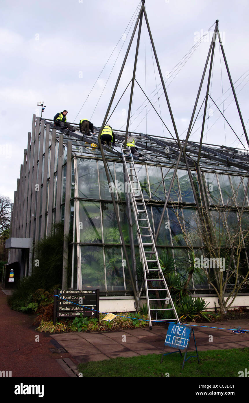 Storm damage to a hothouse in the Royal Botanic Gardens in Edinburgh ...