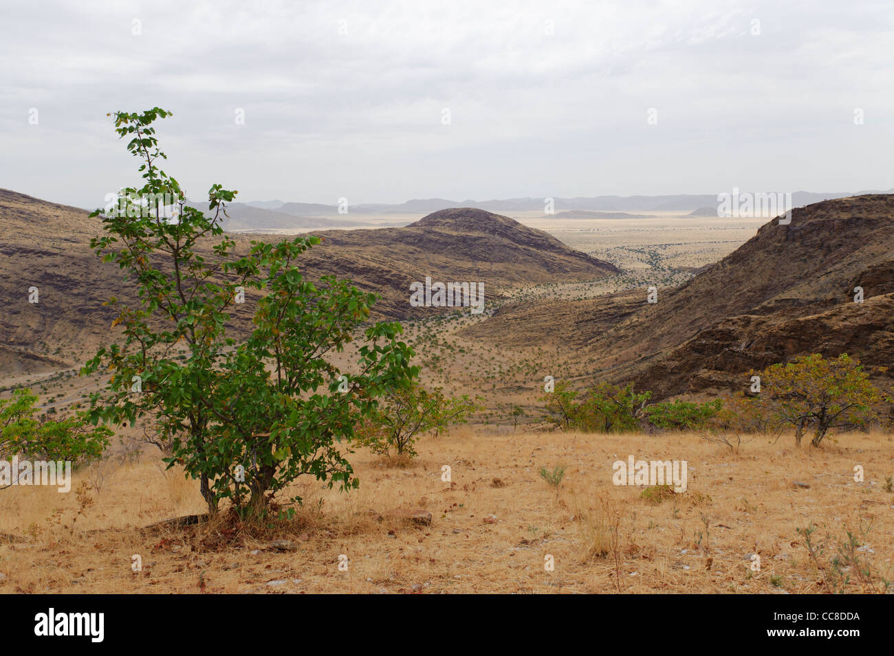 View on the valley of Marienfluss from a high point of the van Zyl's ...