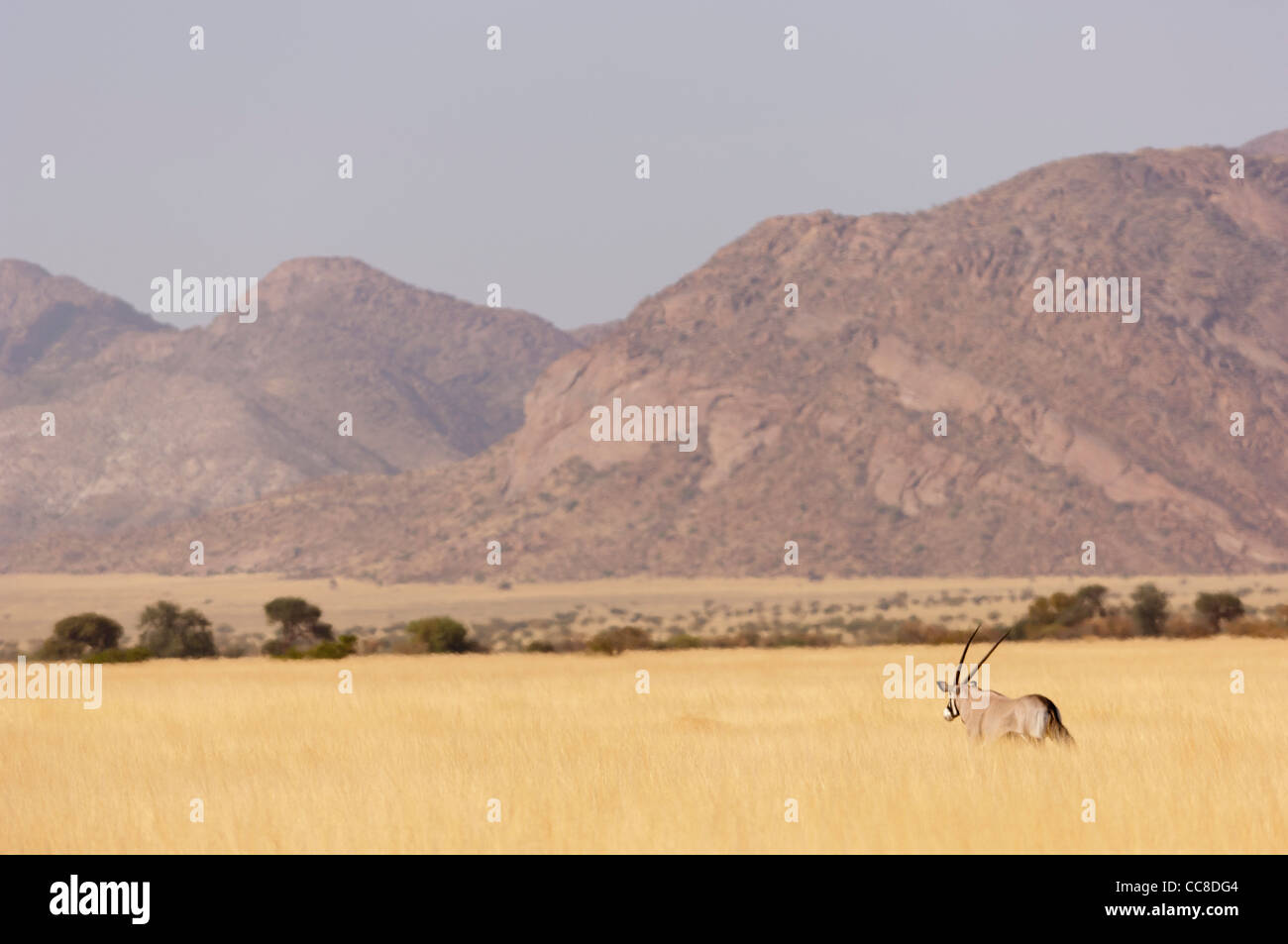 Marienfluss hi-res stock photography and images - Alamy