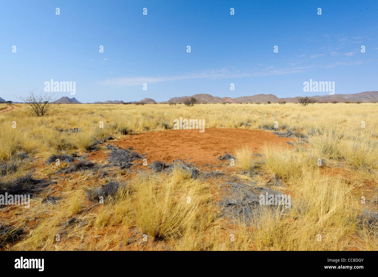 A "fairy circle" in Marienfluss. Kaokoland, Kunene Region. Namibia ...