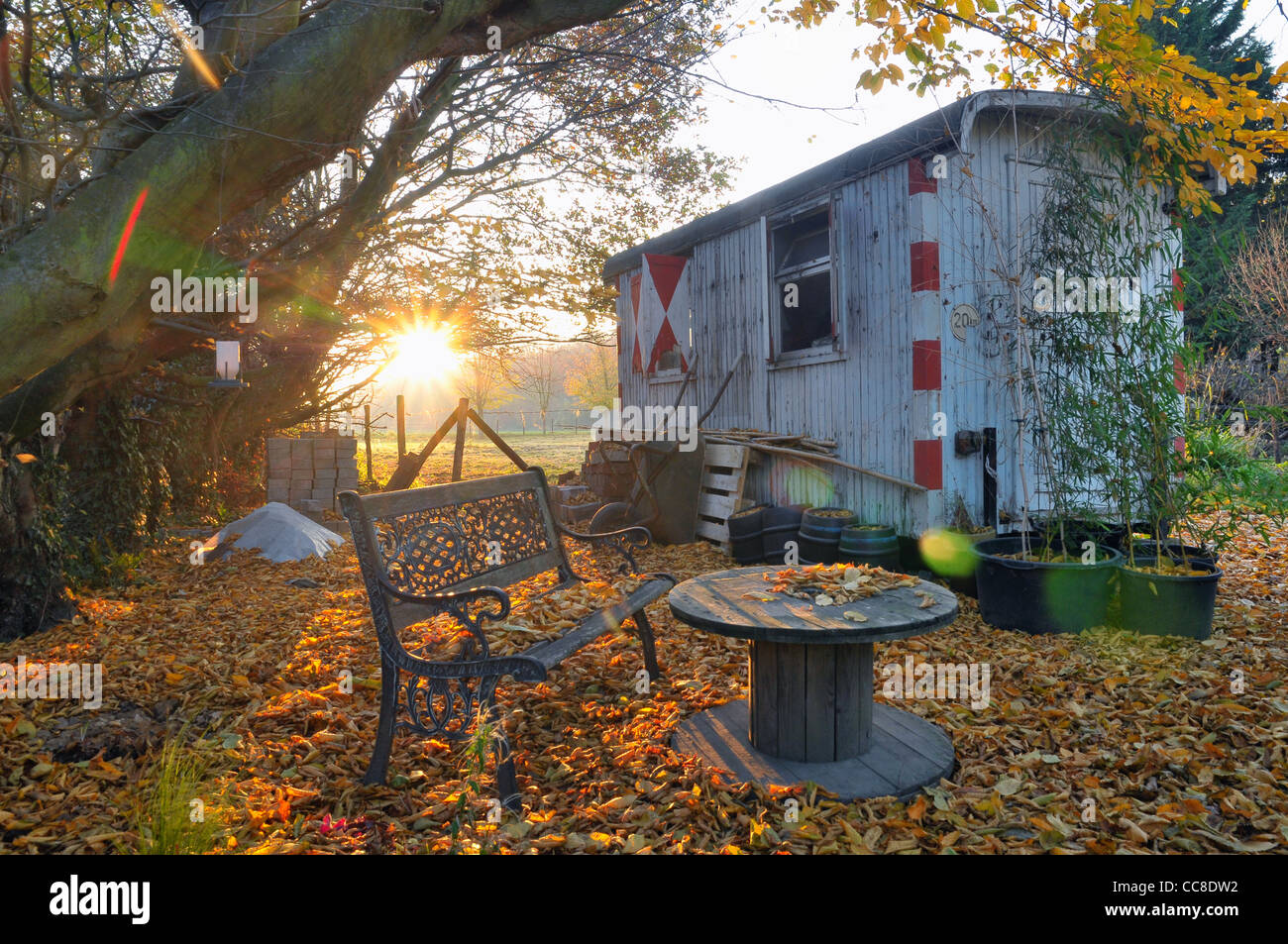 Old construction trailer beside a large oak tree during sunset Stock ...
