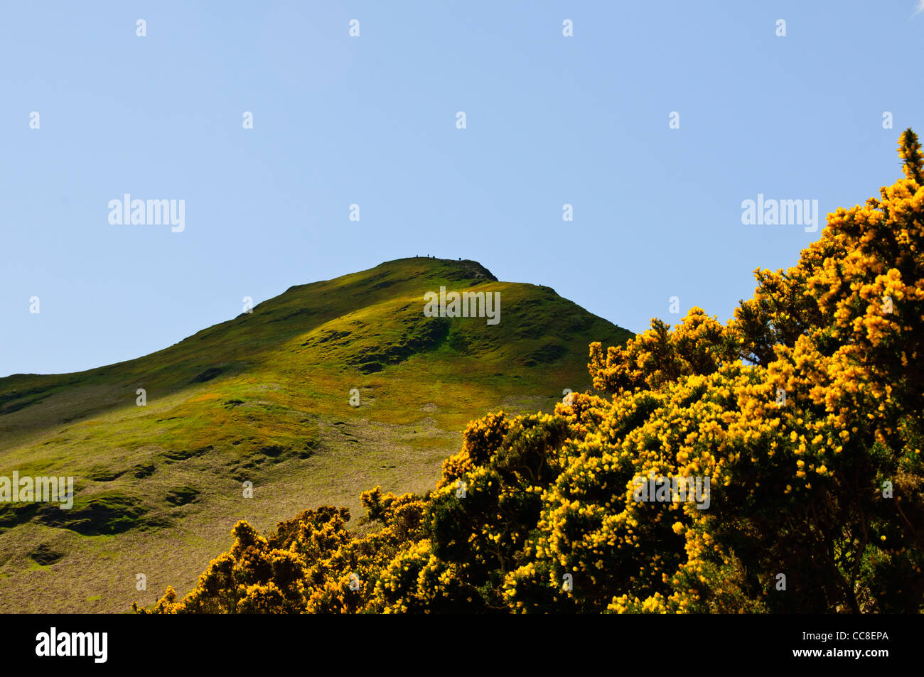 Views from Catbells, Alfred Wainwright's famous Walk 1958 ft ,of ...