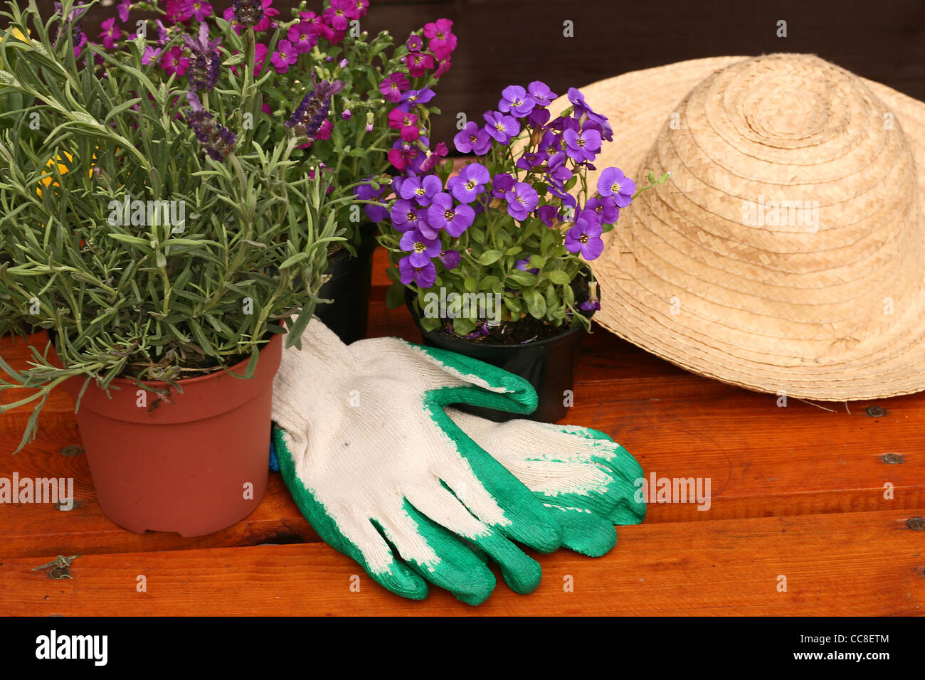 flowers and gardening tools Stock Photo - Alamy