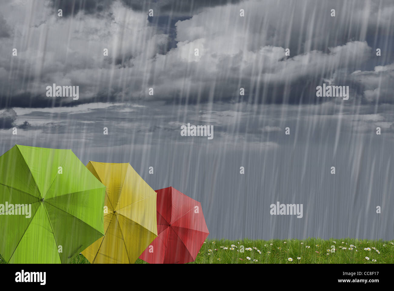 colored umbrella's in heavy rain Stock Photo - Alamy