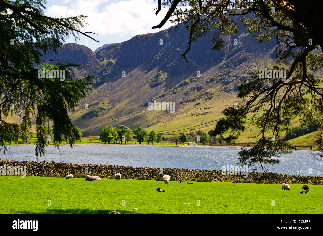 Lake Buttermere,Buttermere Fells,Fleetwith Red Pike,High Stile,High ...