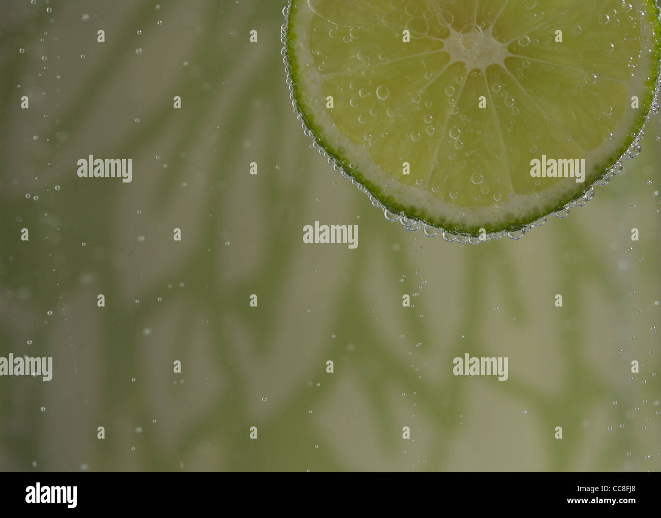 Lime wedge in sparkling water Stock Photo - Alamy