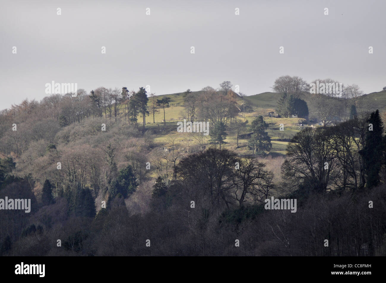 Dusky silhouette hi-res stock photography and images - Alamy