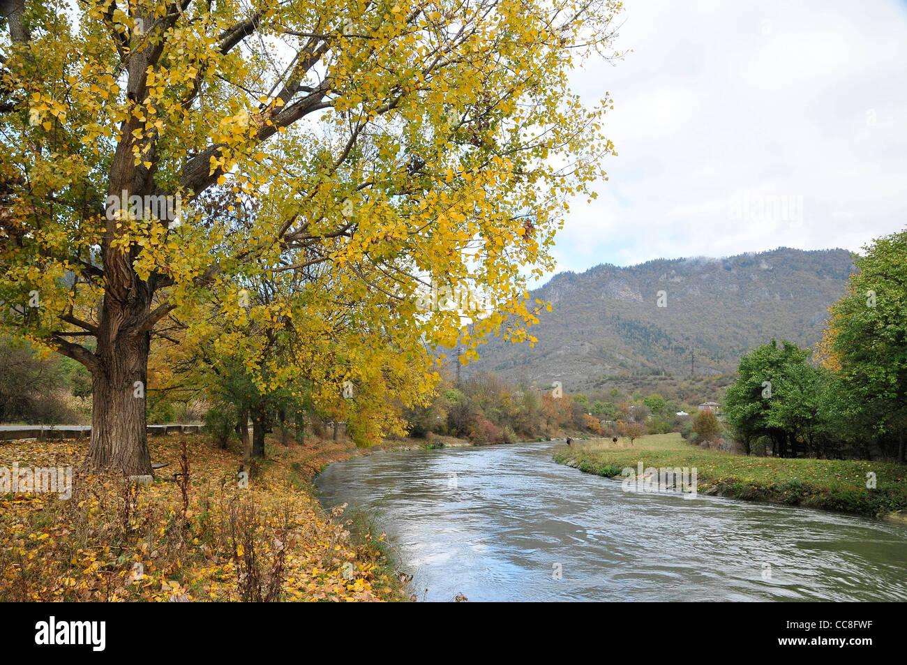 Georgia, The Kura (Mtkvari) river fall colours Stock Photo - Alamy