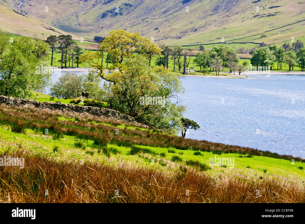 Lake Buttermere,Buttermere Fells,Fleetwith Red Pike,High Stile,High ...