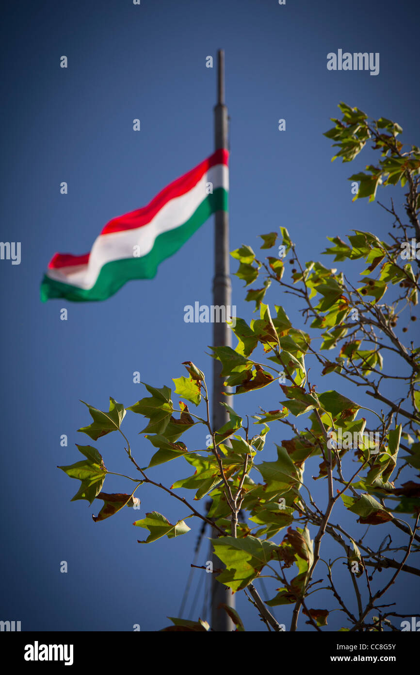The Hungarian Flag in Budapest Stock Photo - Alamy