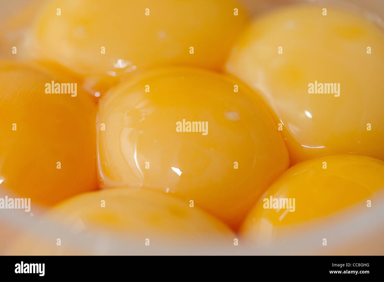 Close up of egg yokes Stock Photo - Alamy