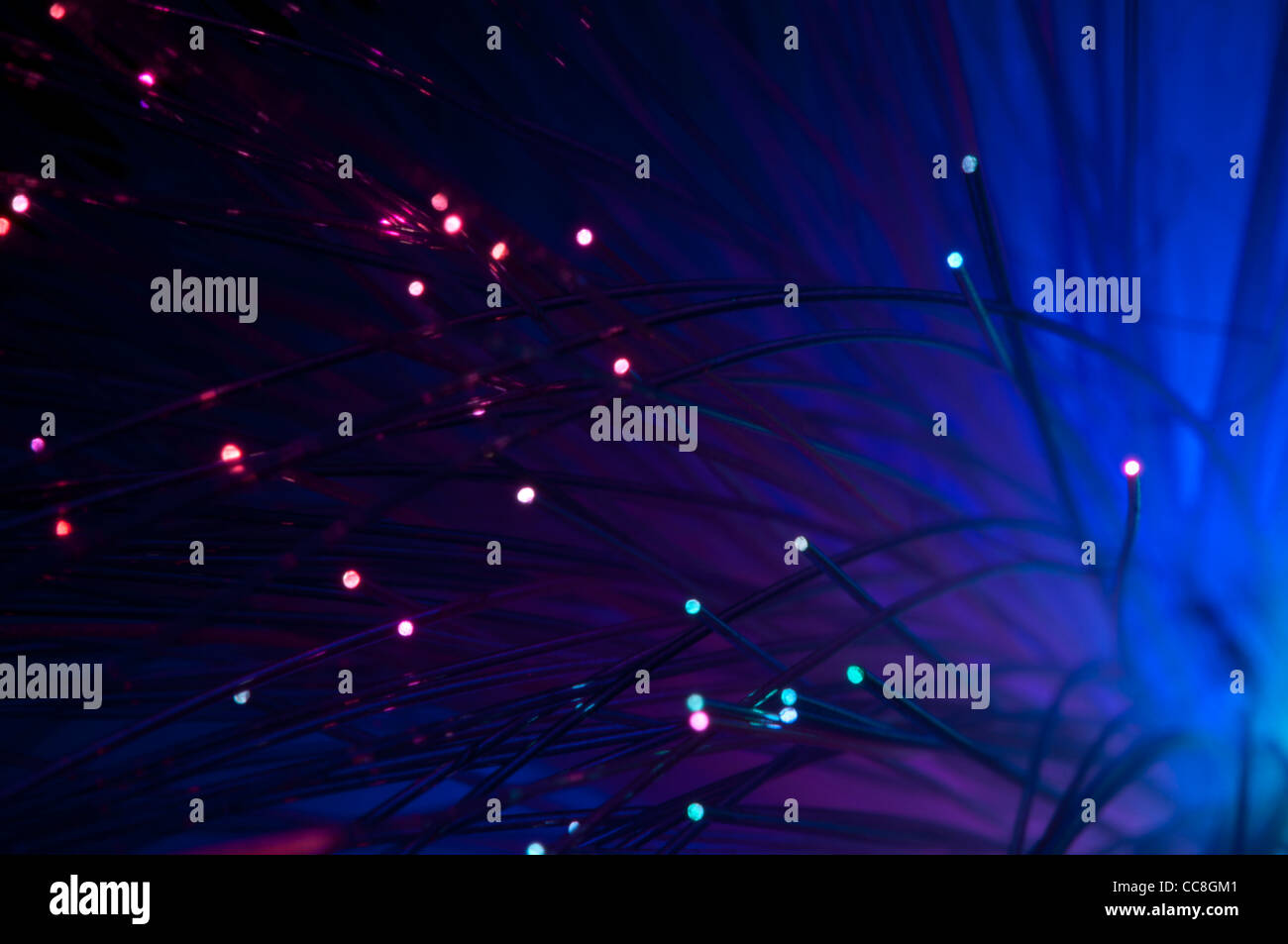 Multicolored optical fibers Stock Photo - Alamy