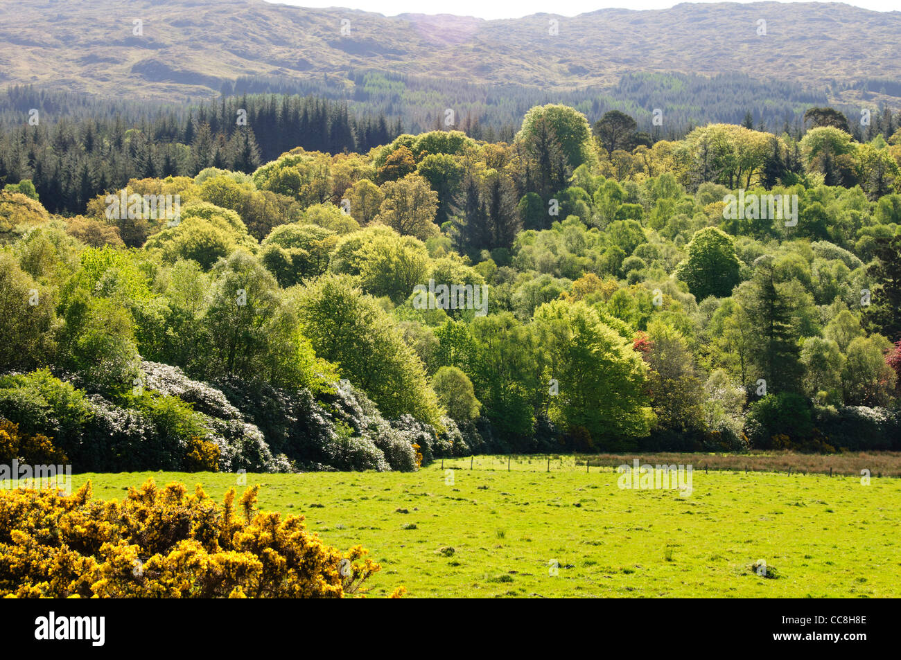 Benderloch is a village in Argyll and Bute,Scotland.Benderloch lies on ...