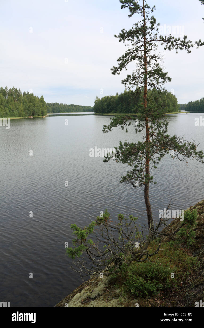 Typical finnish landscape hi-res stock photography and images - Alamy