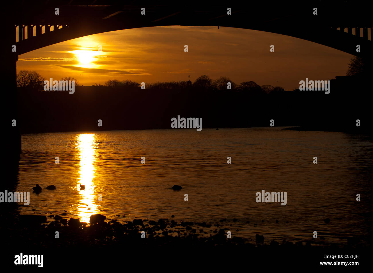 Sunset under Barnes Bridge, London Stock Photo - Alamy