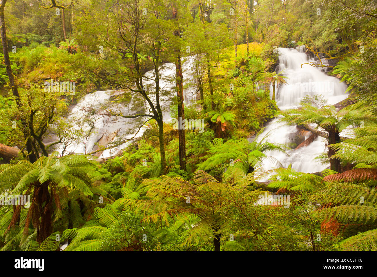 Otway ranges hi-res stock photography and images - Alamy
