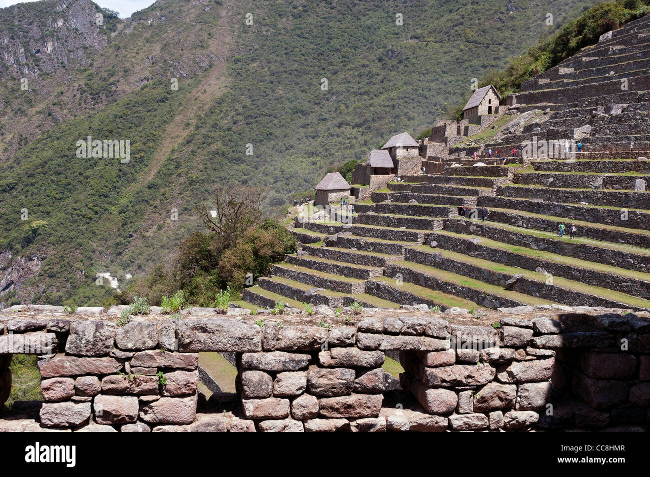 Machu Picchu, Peru. The agricultural terraces Stock Photo - Alamy Machu Picchu, Peru. The agricultural terraces Stock Photo - Alamy