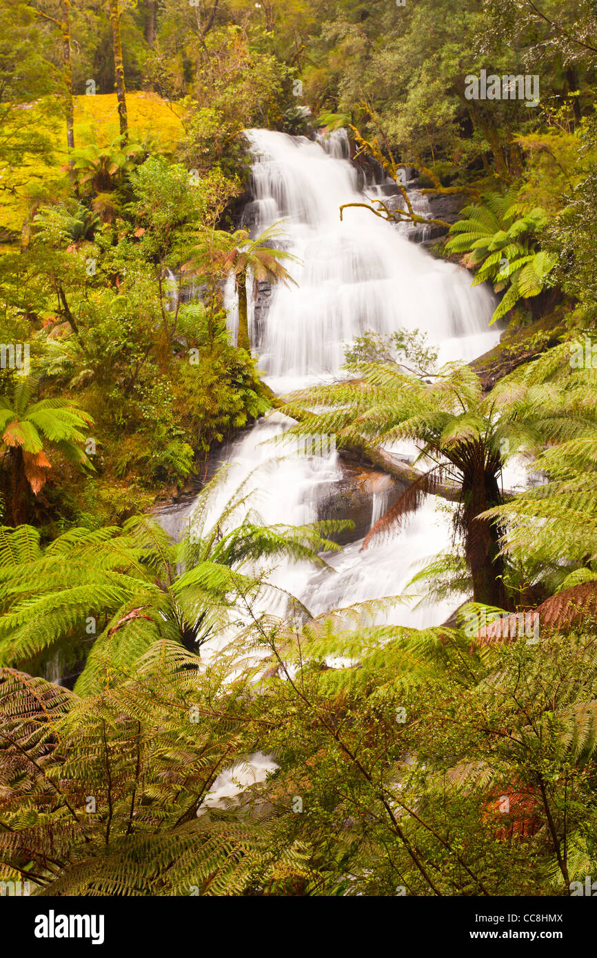 Triplet Falls on Youngs Creek in the Great Otway National Park near ...