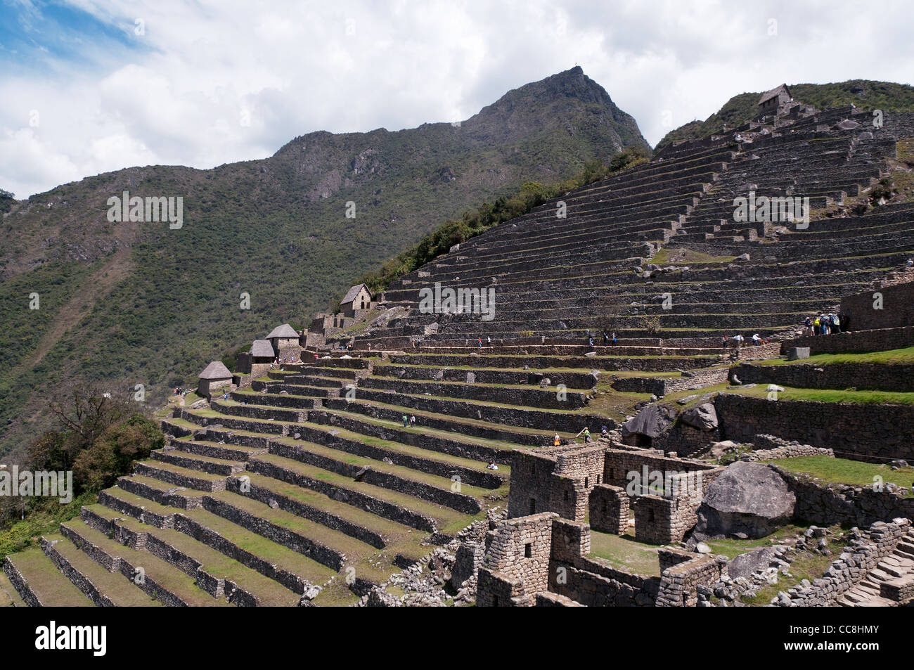 Machu Picchu, Peru. The Agricultural Terraces. Machu Picchu Mountain in ...