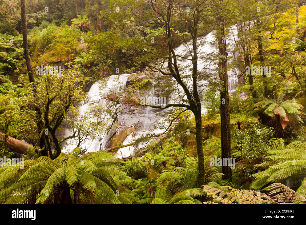 Otway ranges hi-res stock photography and images - Alamy