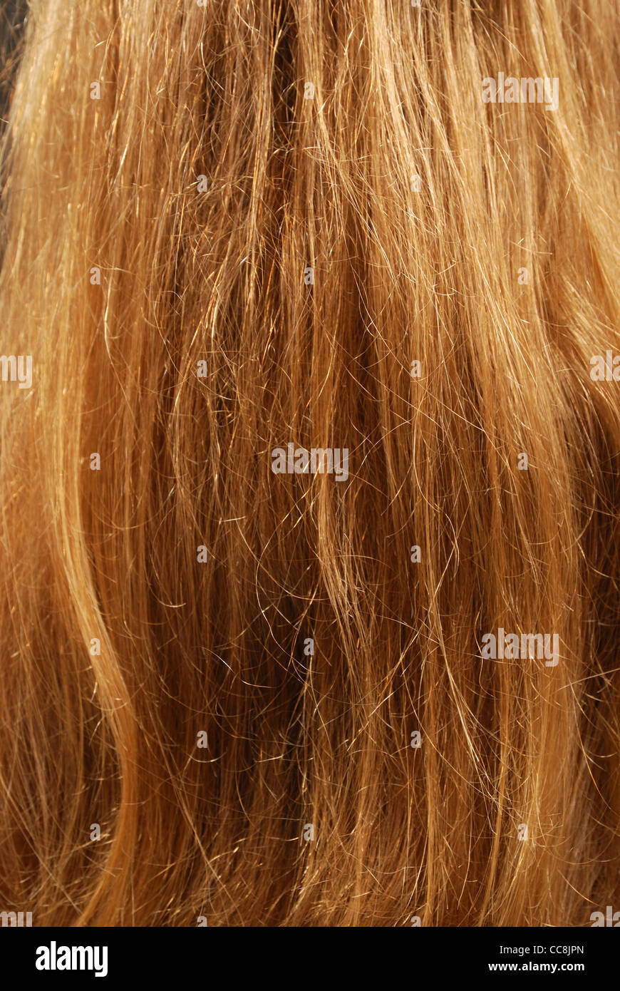 Fair Haired Stock Photos & Fair Haired Stock Images - Alamy