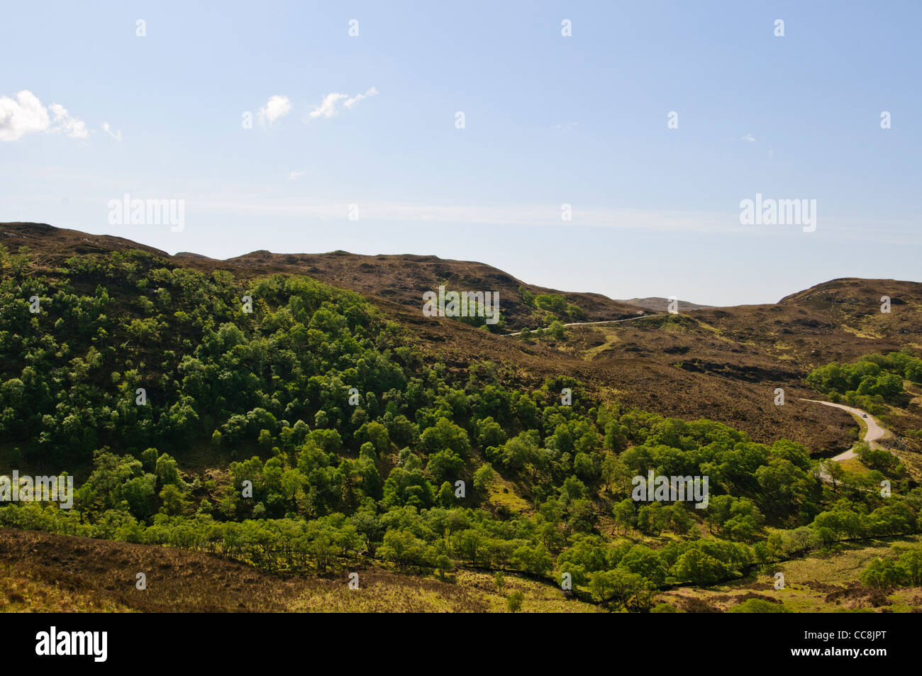 Scottish moores hi-res stock photography and images - Alamy