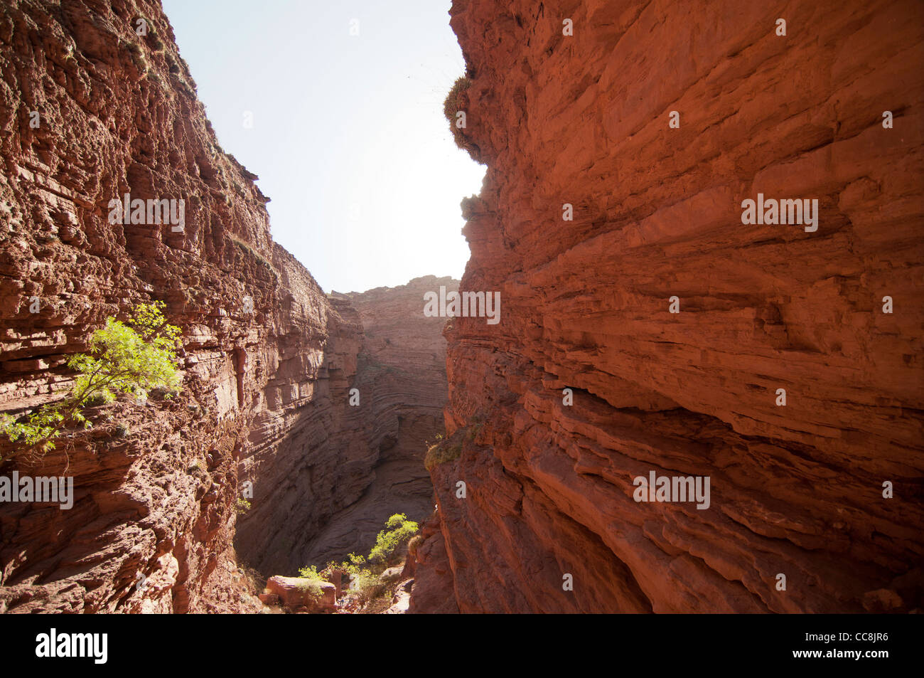 Quebrada de las Conchas (Salta, Argentina Stock Photo - Alamy