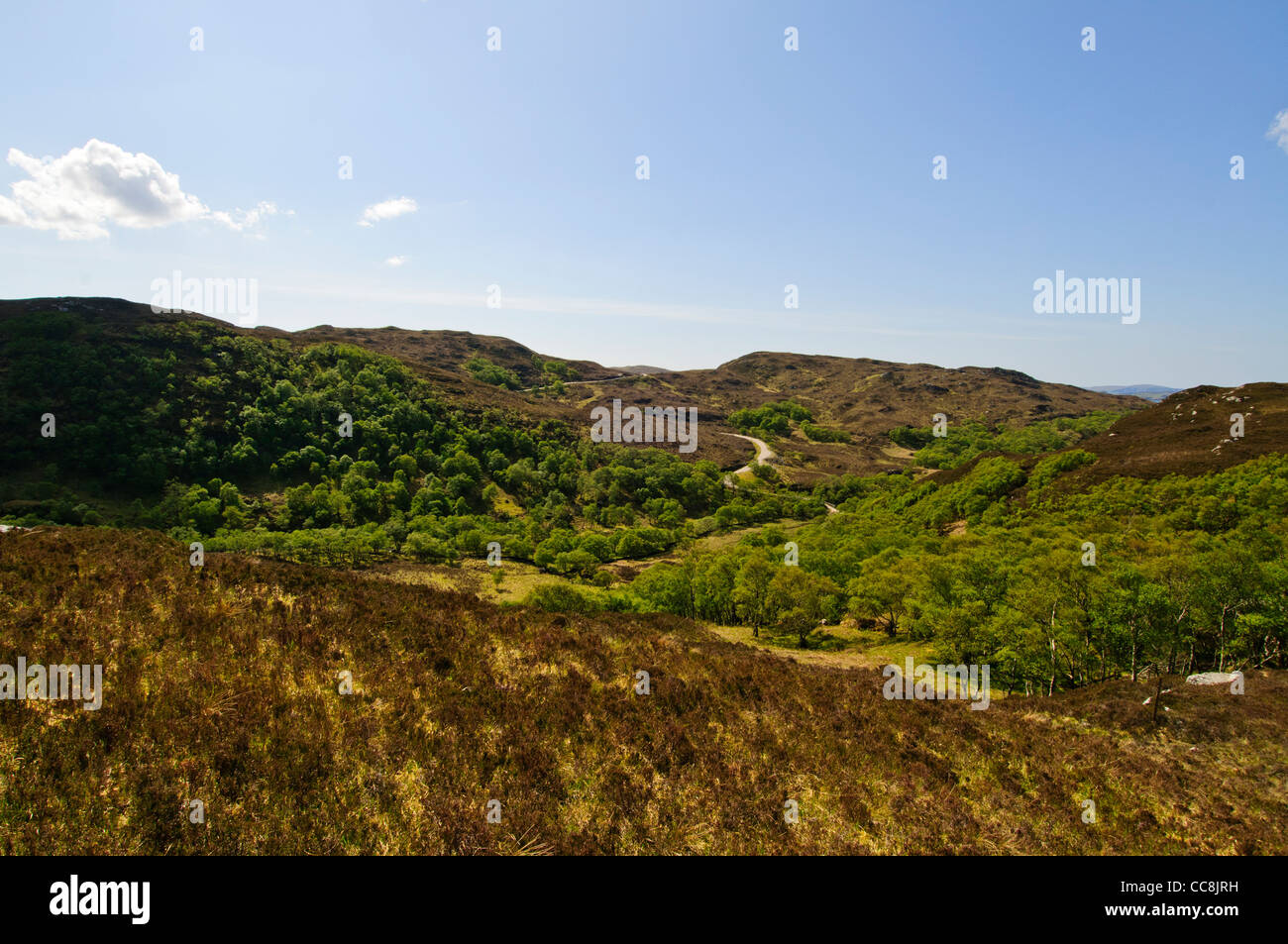 Scottish moores hi-res stock photography and images - Alamy